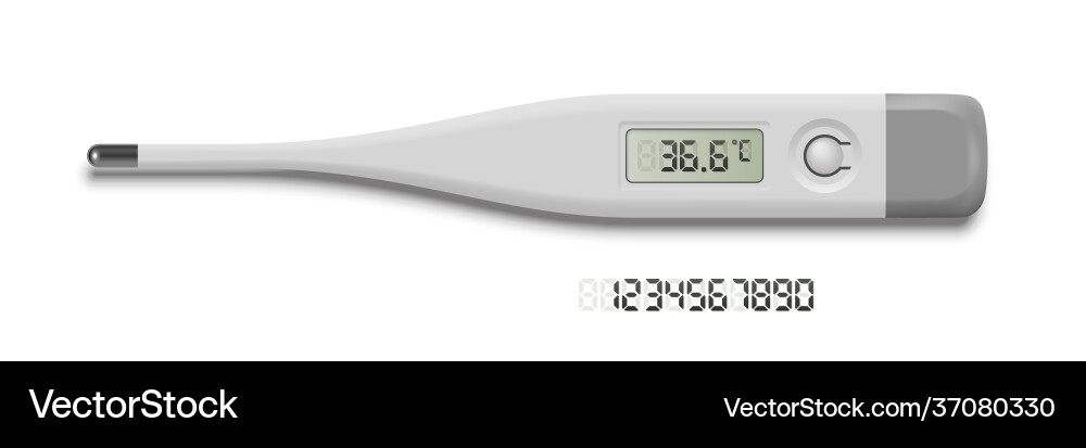 Medical thermometer showing normal temperature Vector Image