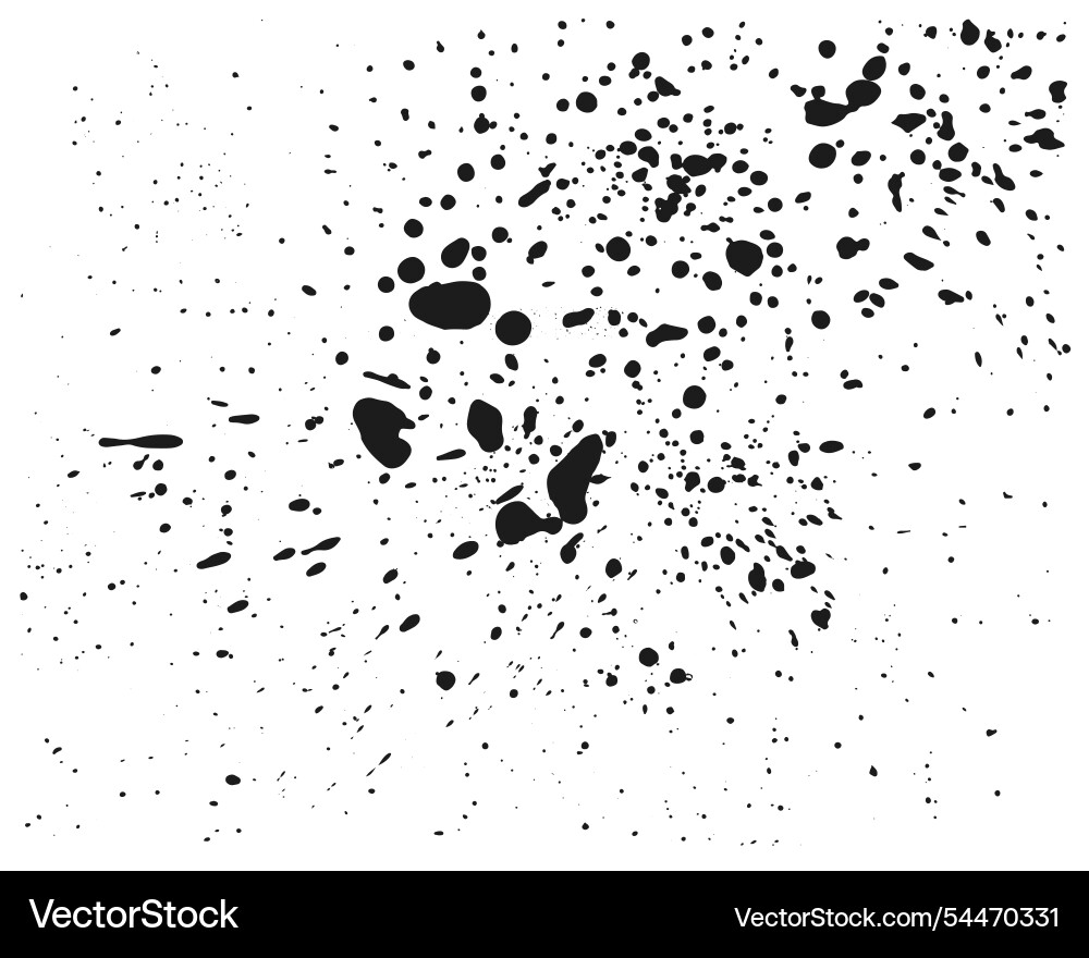 Black ink splattering on white background creates Vector Image