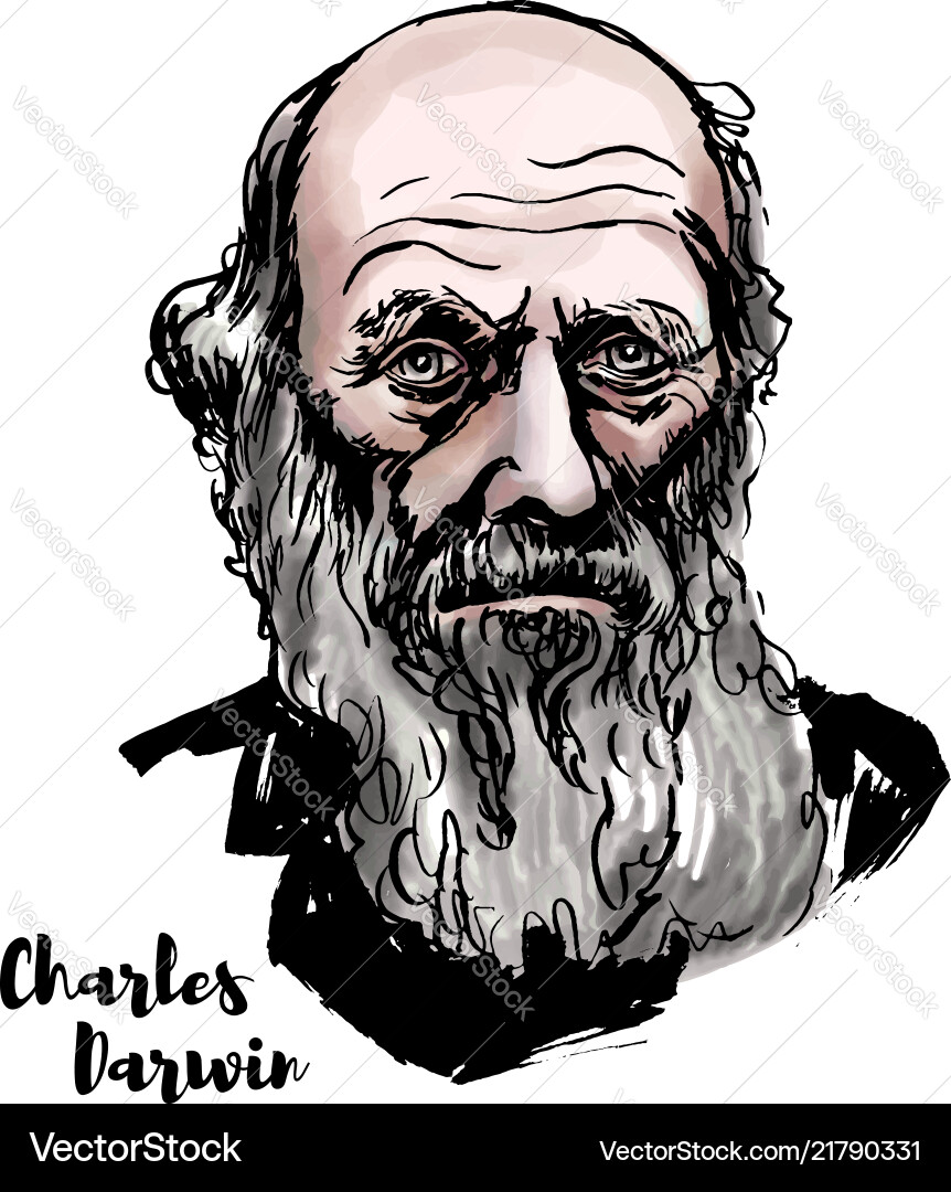 Charles Darwin Portrait Royalty Free Vector Image