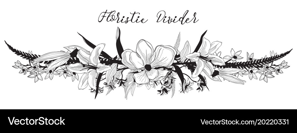 Delicate floral text divider flower design Vector Image