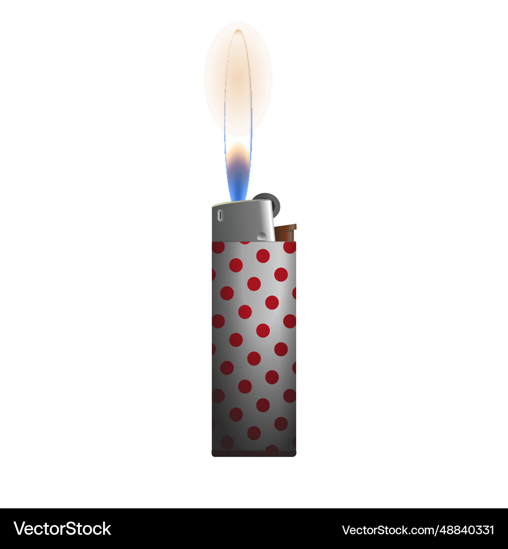 Flame lighter fire smoke Royalty Free Vector Image