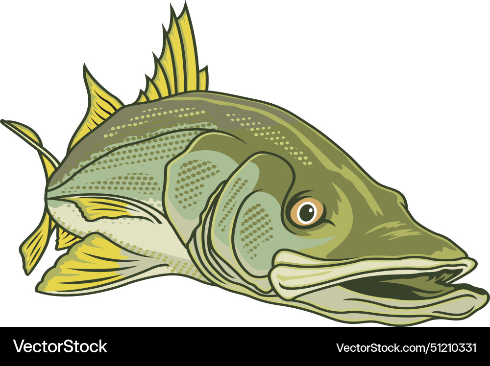 Snook fishing logo image t shi Royalty Free Vector Image