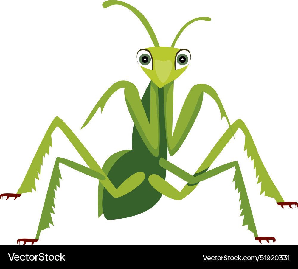 Weba flat style icon of chinese mantis Royalty Free Vector
