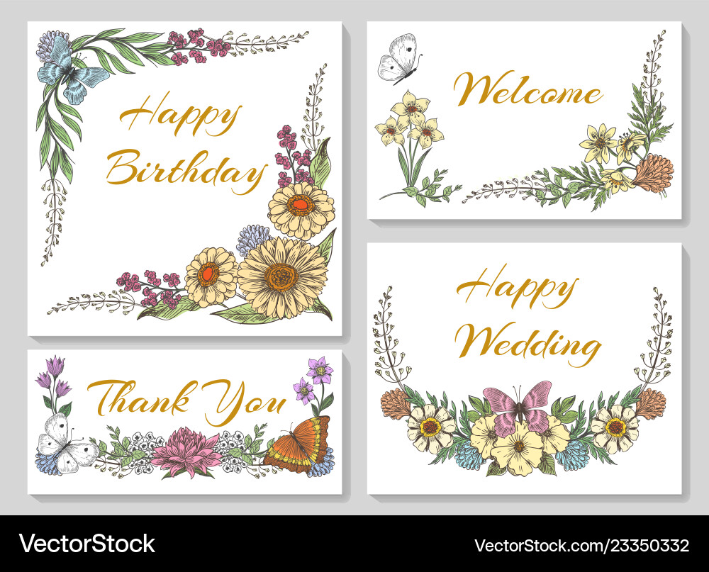 Botanic card with wild flowers Royalty Free Vector Image