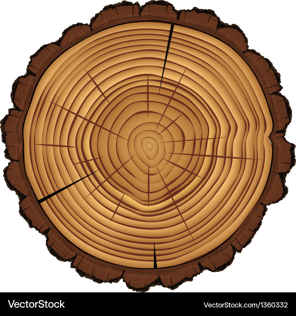 Old Tree Stump Vector Images (over 2,900)