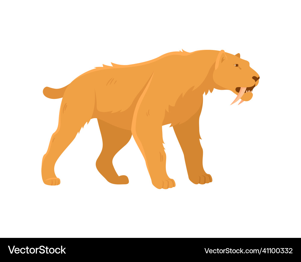 Evolution of life forms on earth concept Vector Image