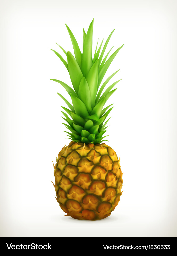 Ananas Tropical Vector Images (over 5,700)