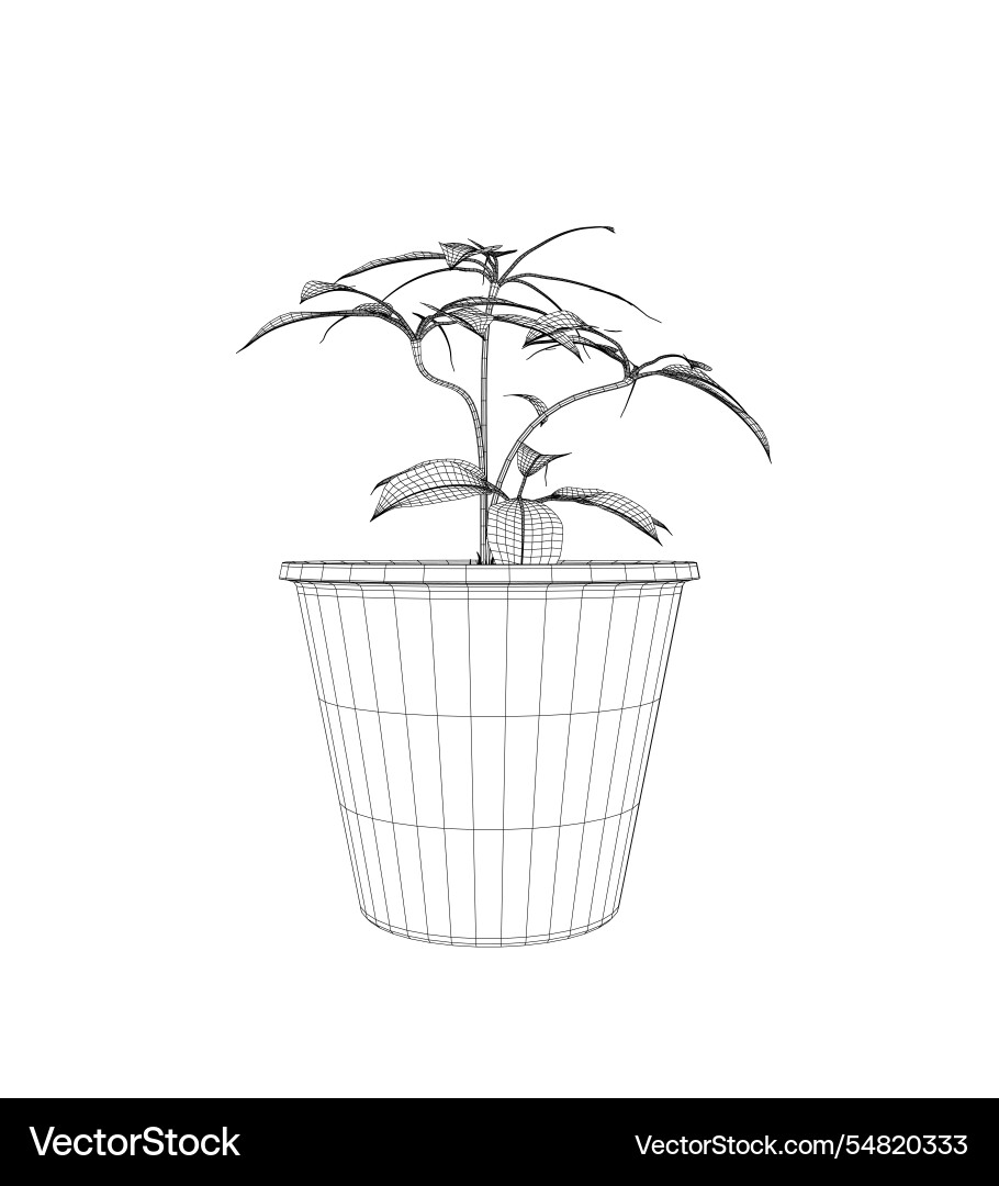 Plant in flower pot wireframe line Royalty Free Vector Image