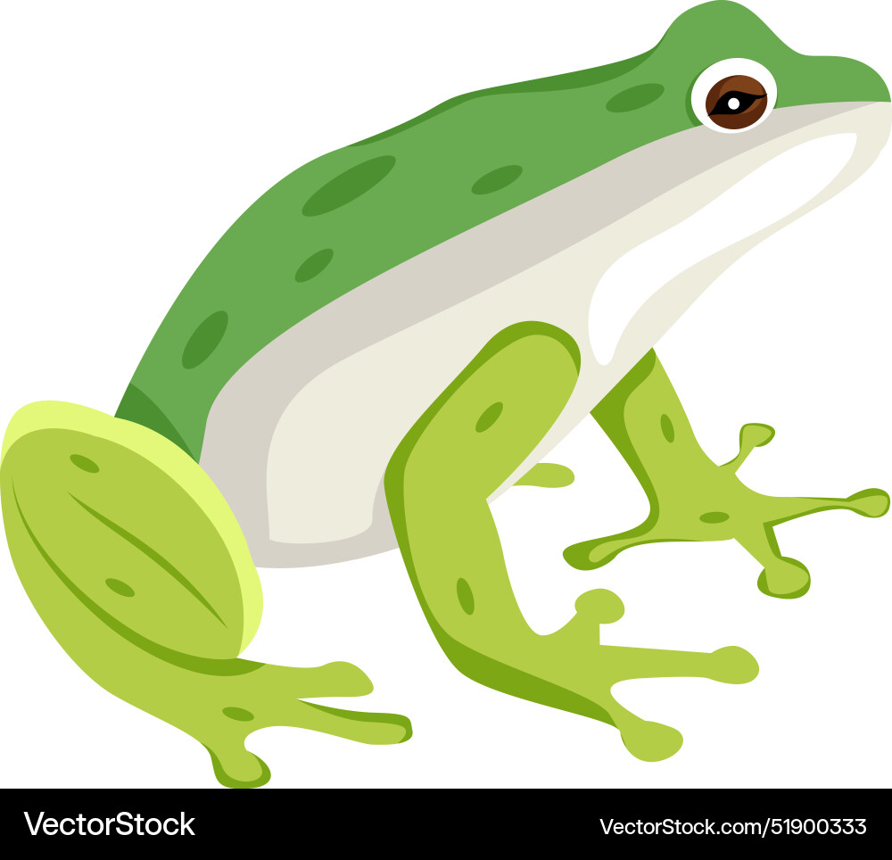 Weba flat icon of frog Royalty Free Vector Image