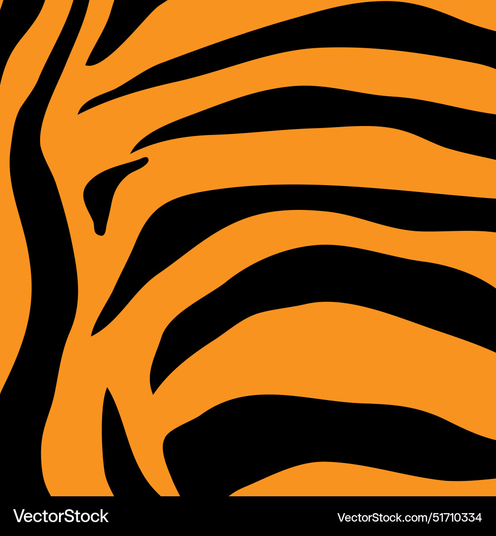 Seamless tiger stripe pattern in orange and black Vector Image