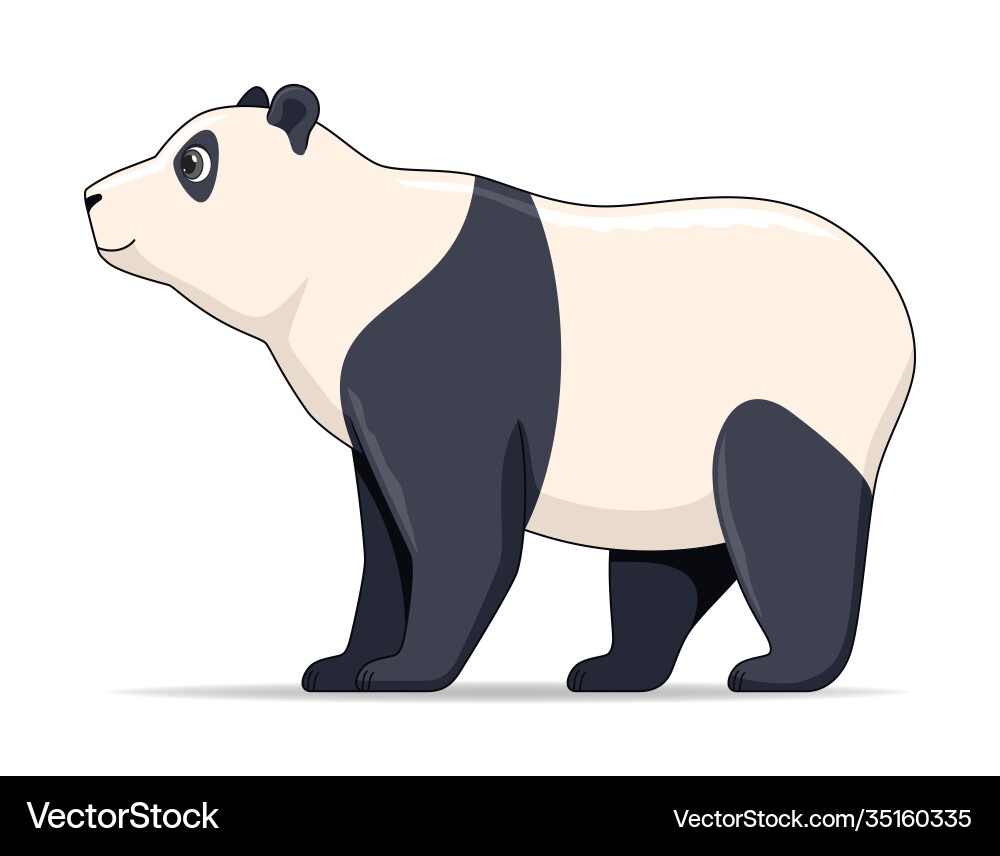 Giant panda animal standing on a white background Vector Image