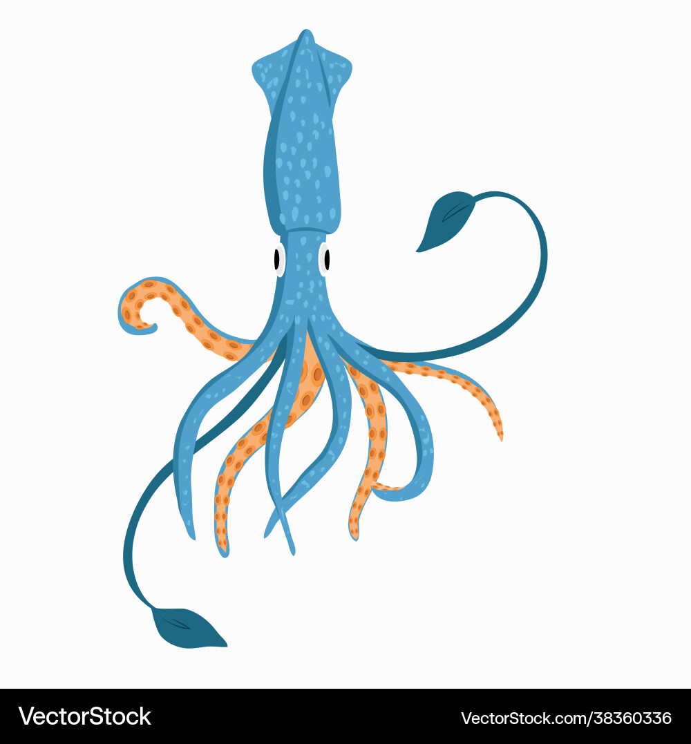 Isolated Squid Illustration Royalty Free Vector Image