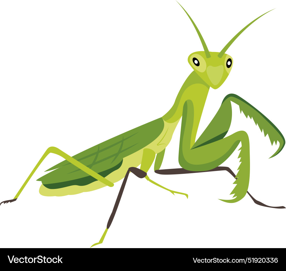 Weba cute flat style icon of mantis Royalty Free Vector