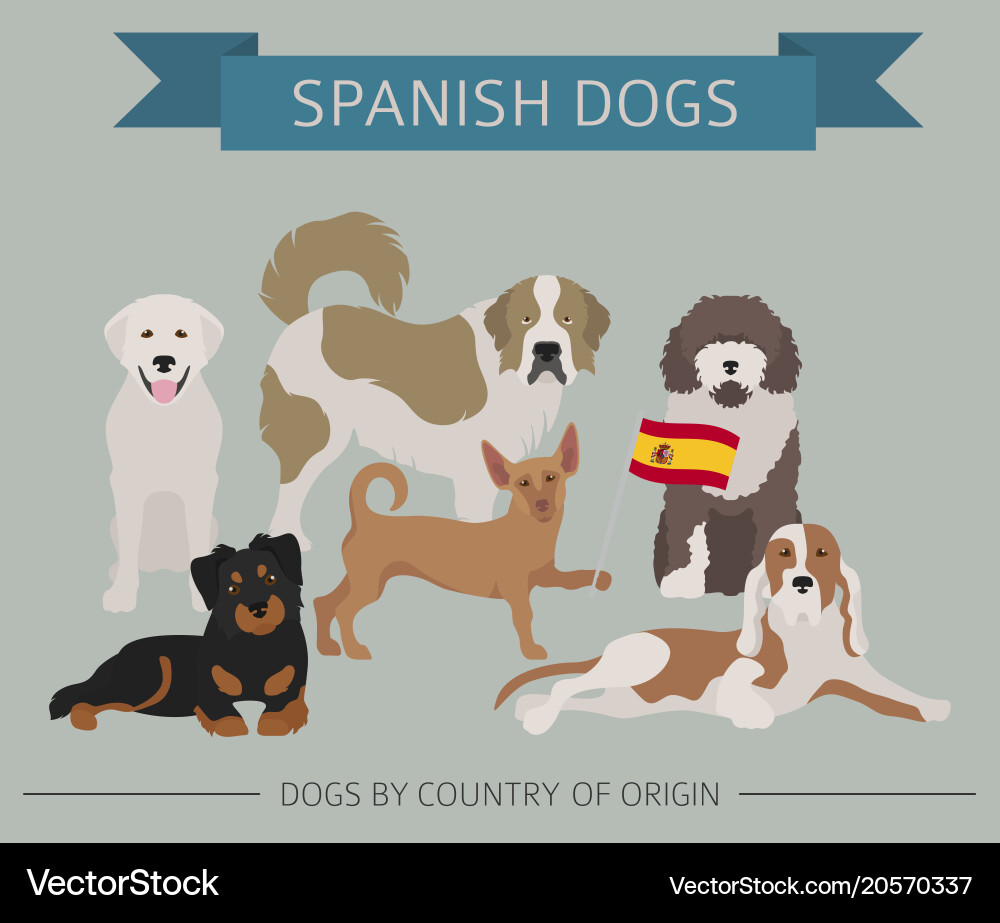 Dogs by country of origin spanish dog breeds Vector Image