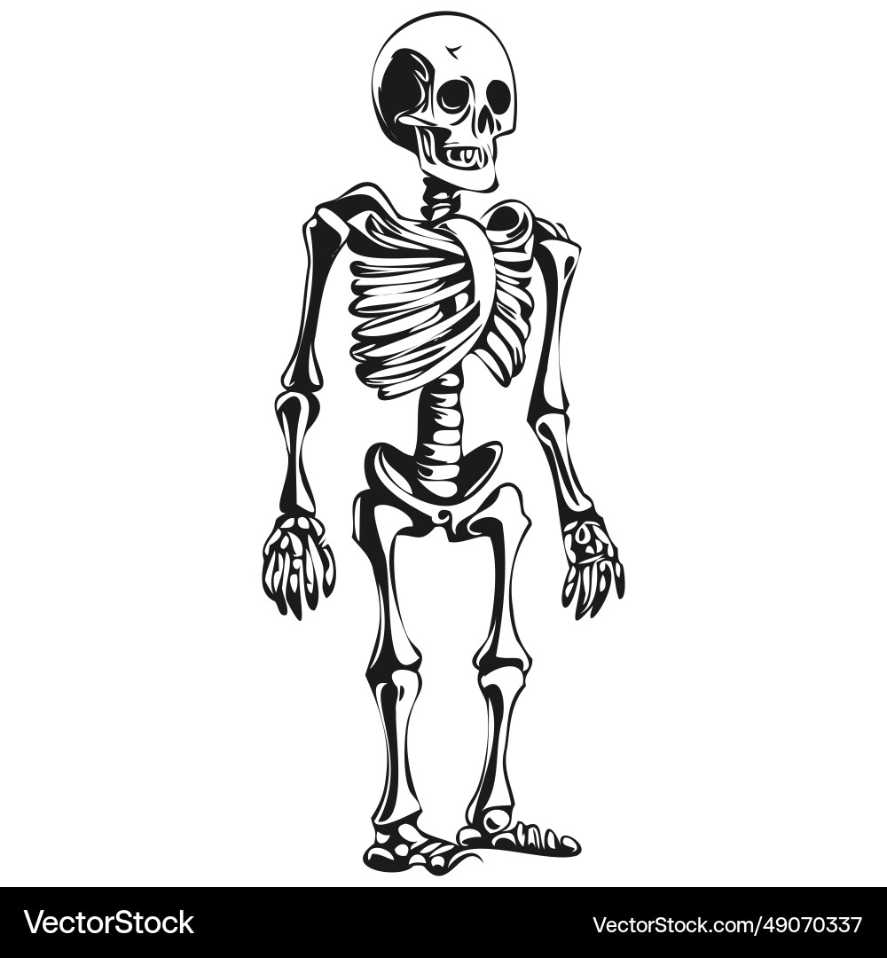 Scary black and white skeleton for halloween Vector Image