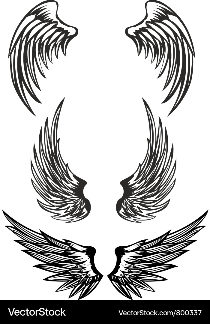 Wings Royalty Free Vector Image - VectorStock