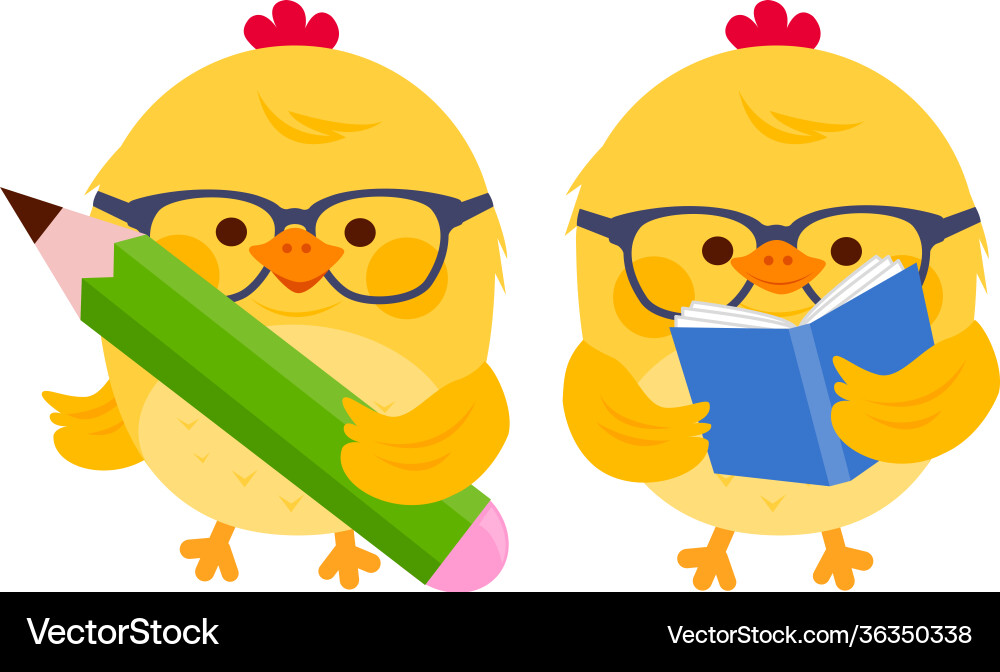Cute chick students reading and writing Royalty Free Vector