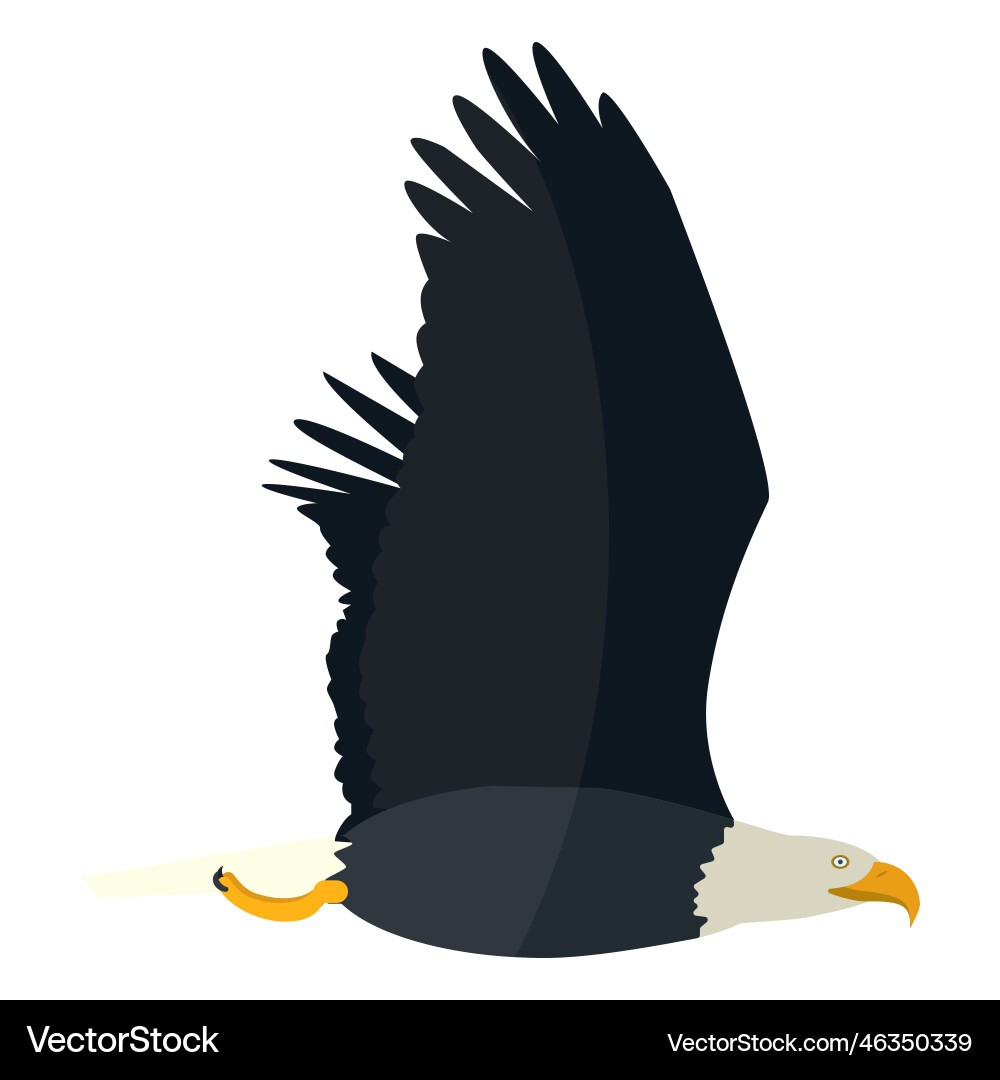 Bald eagle flying flat Royalty Free Vector Image