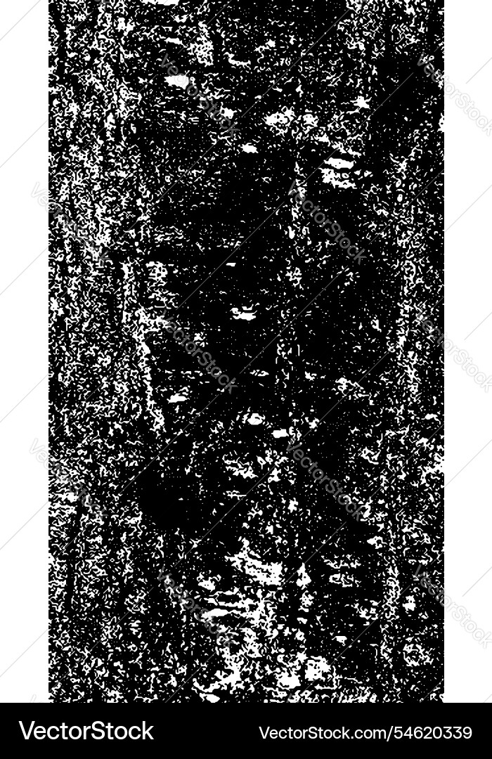 Black tree bark texture on a white Royalty Free Vector Image