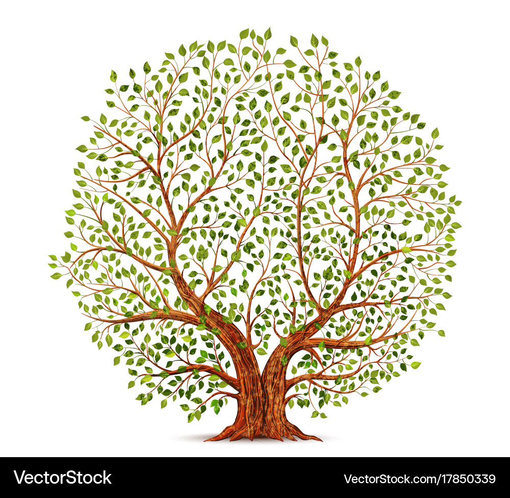 Old tree Royalty Free Vector Image - VectorStock