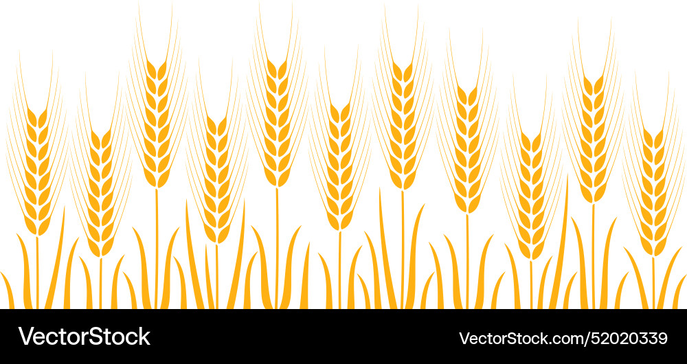 Wheat Royalty Free Vector Image - VectorStock