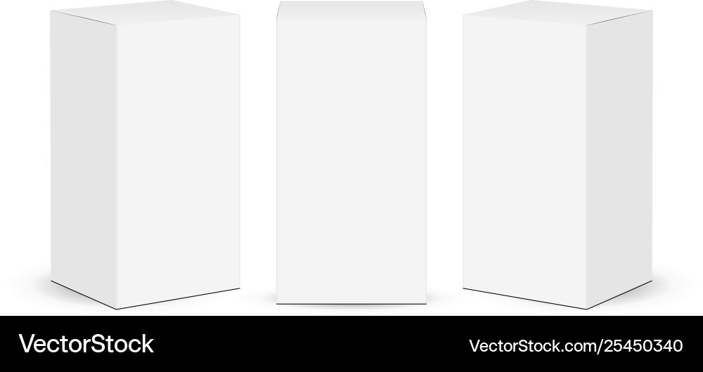 Cardboard rectangular boxes isolated on white Vector Image