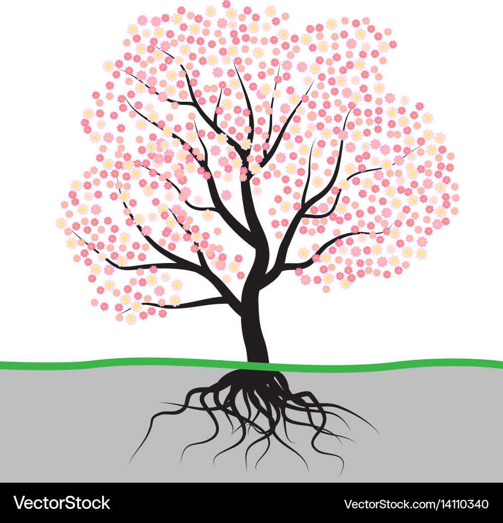 Tree with blossom and roots Royalty Free Vector Image