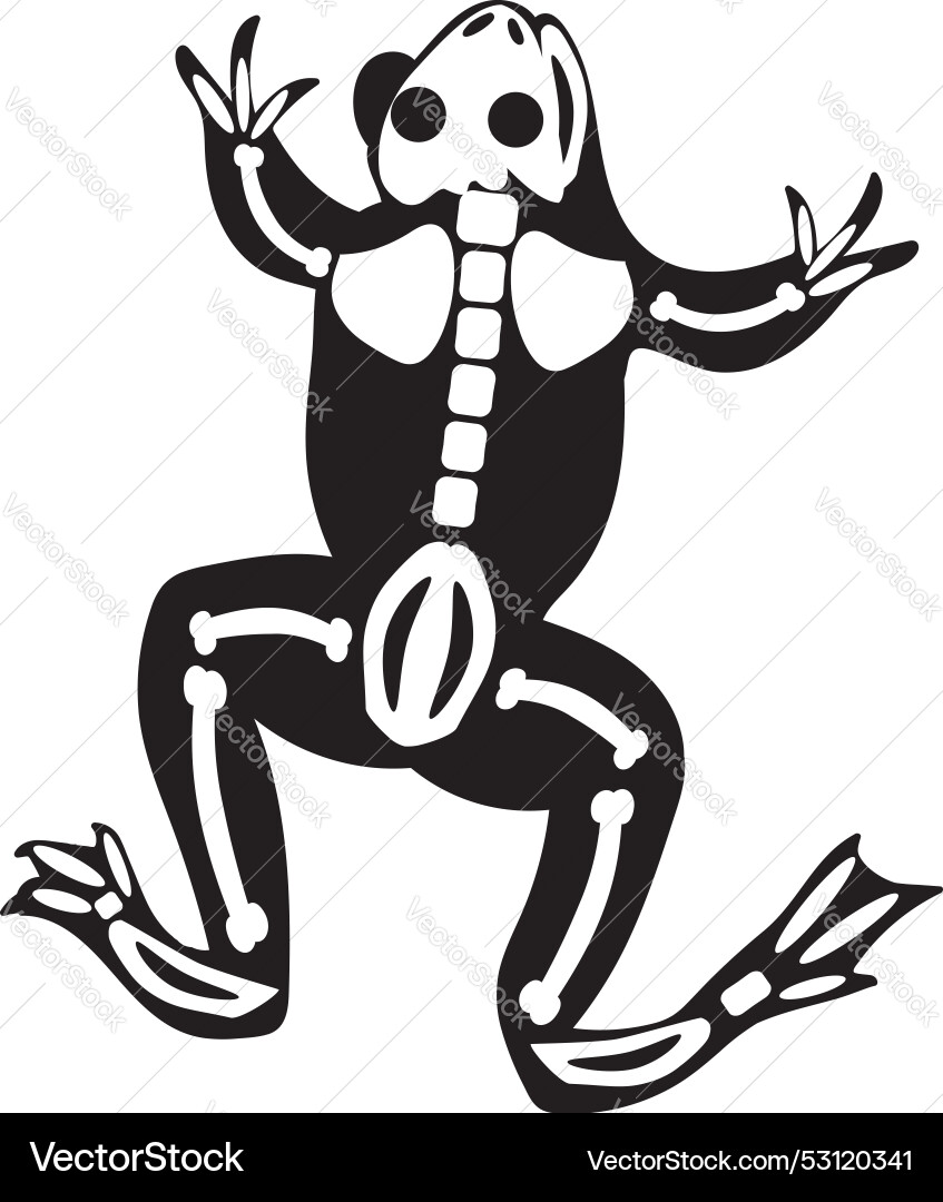 Silhouette jumping frog roentgen skeleton bones Vector Image