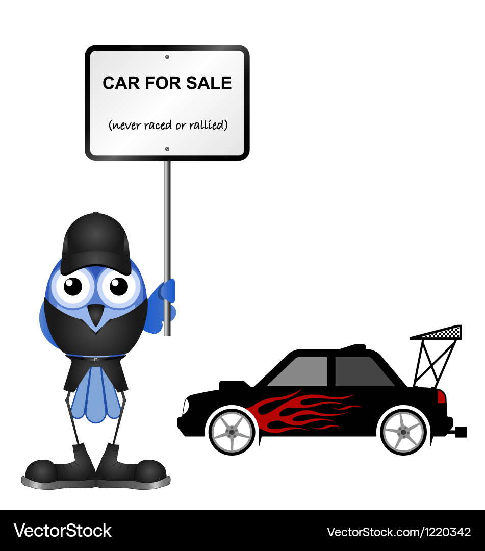 Car for sale Royalty Free Vector Image - VectorStock