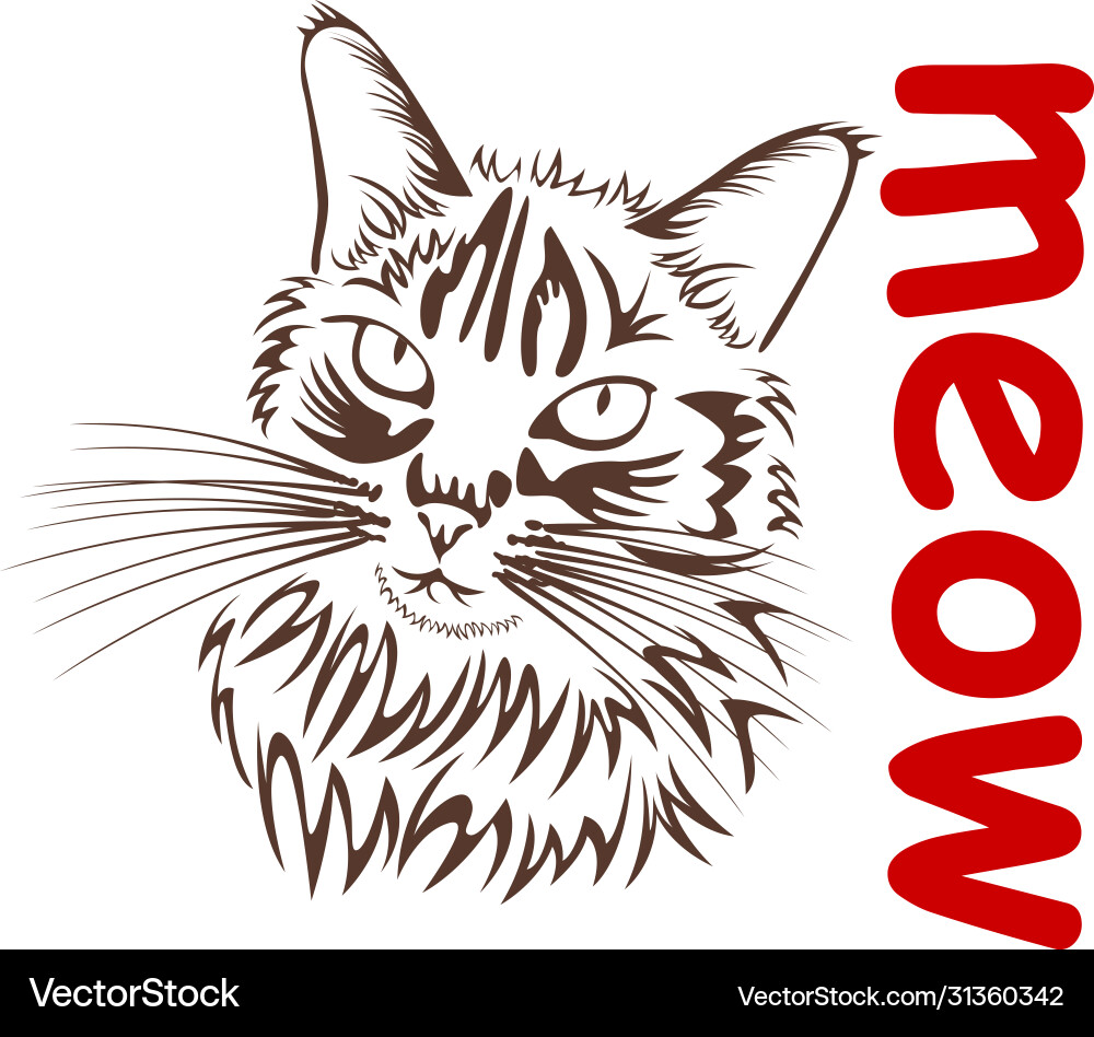 Cat says meow Royalty Free Vector Image - VectorStock