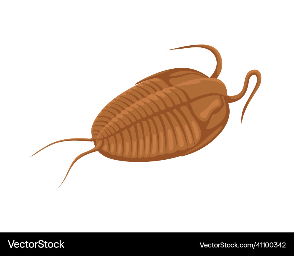 Evolution of life forms on earth concept Vector Image