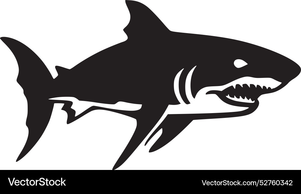 Shark - minimalist and simple silhouette Vector Image