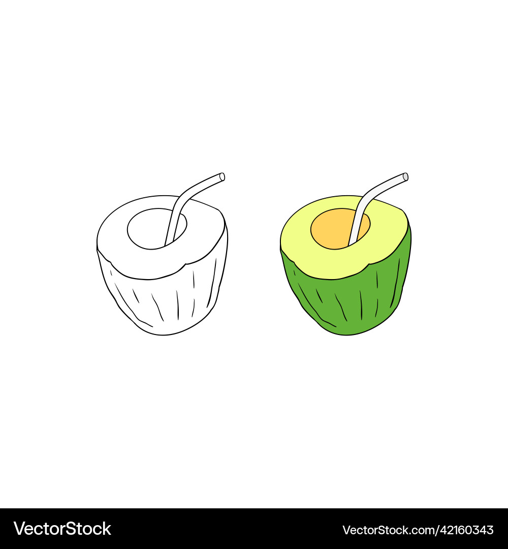 Hand drawn coconut water Royalty Free Vector Image