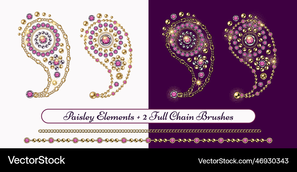 Paisley ornament with jewelry pattern brush Vector Image