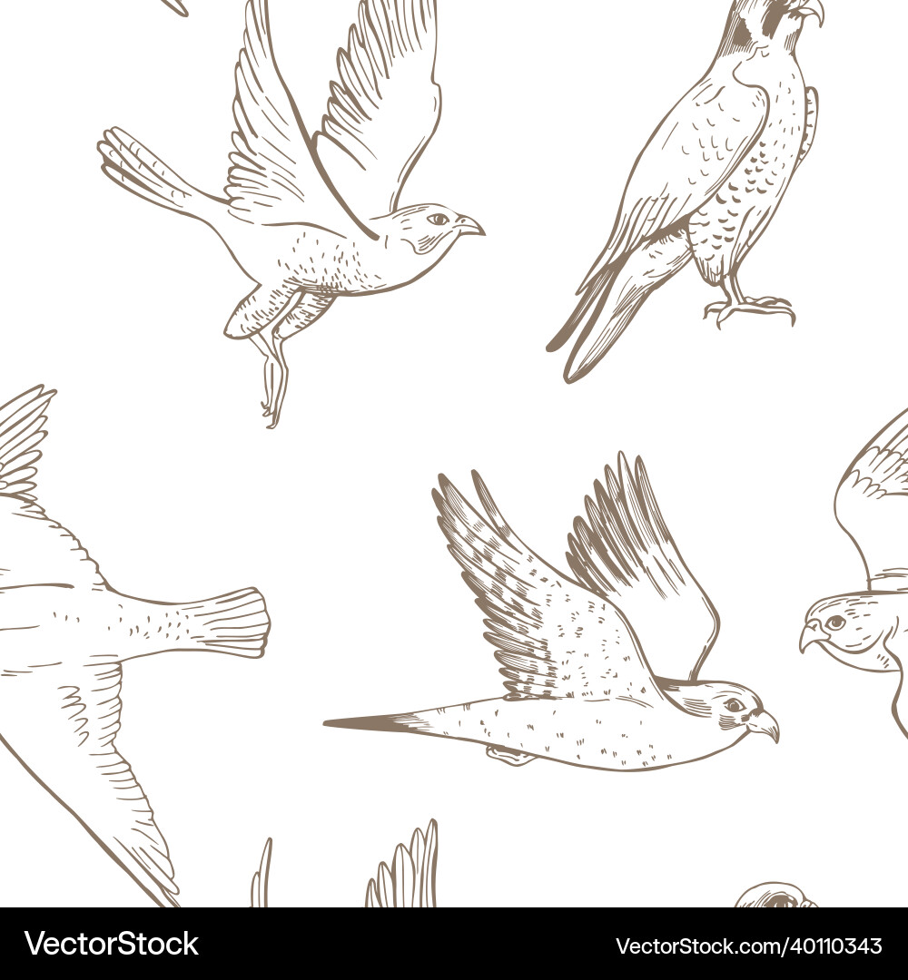 Pattern with peregrine falcon Royalty Free Vector Image