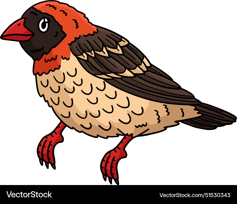 Red billed quelea bird cartoon colored clipart Vector Image