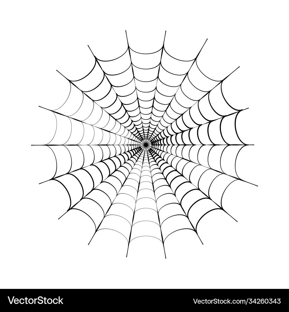 Spider web concept Royalty Free Vector Image - VectorStock