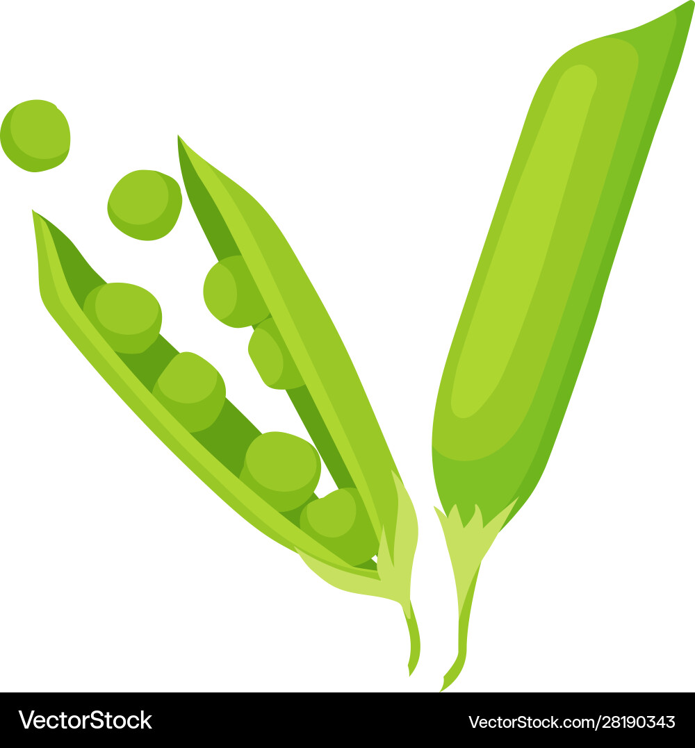 Whole and open green peas Royalty Free Vector Image