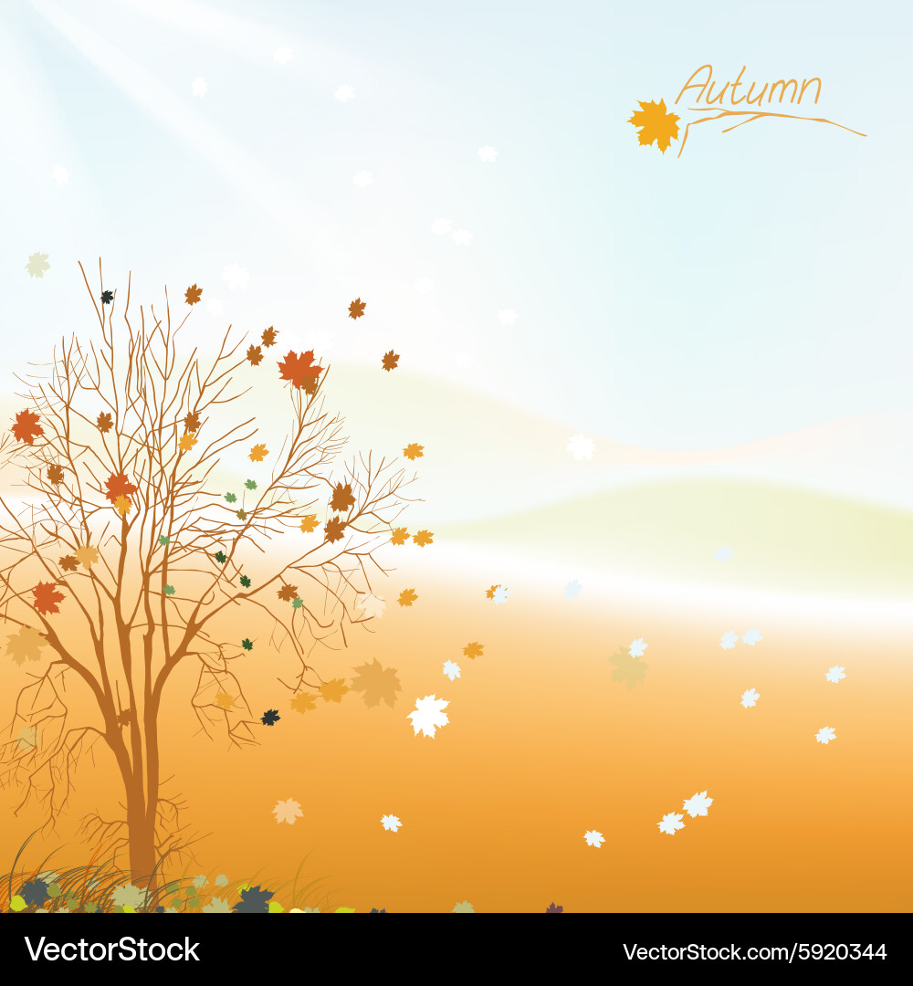 Autumn tree Royalty Free Vector Image - VectorStock