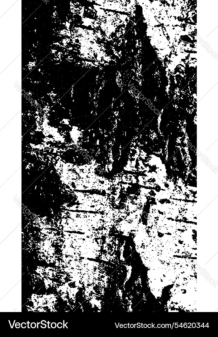 Black tree bark texture on a white Royalty Free Vector Image