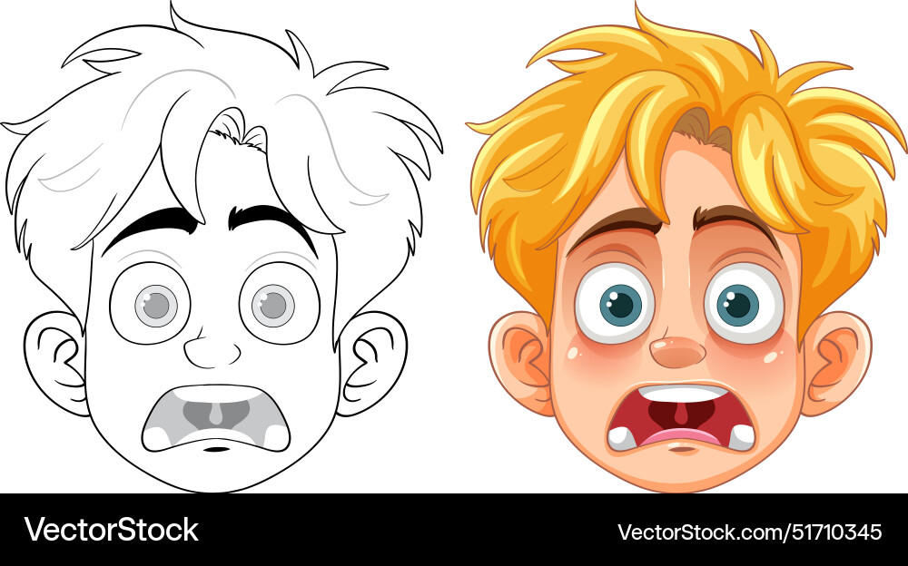 A shocked boys face Royalty Free Vector Image - VectorStock