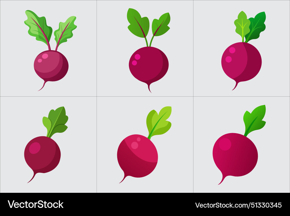 Beet Royalty Free Vector Image - VectorStock
