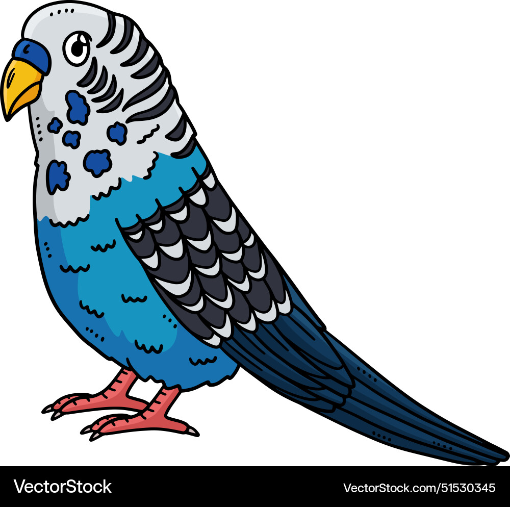 Parakeet bird cartoon colored clipart Royalty Free Vector