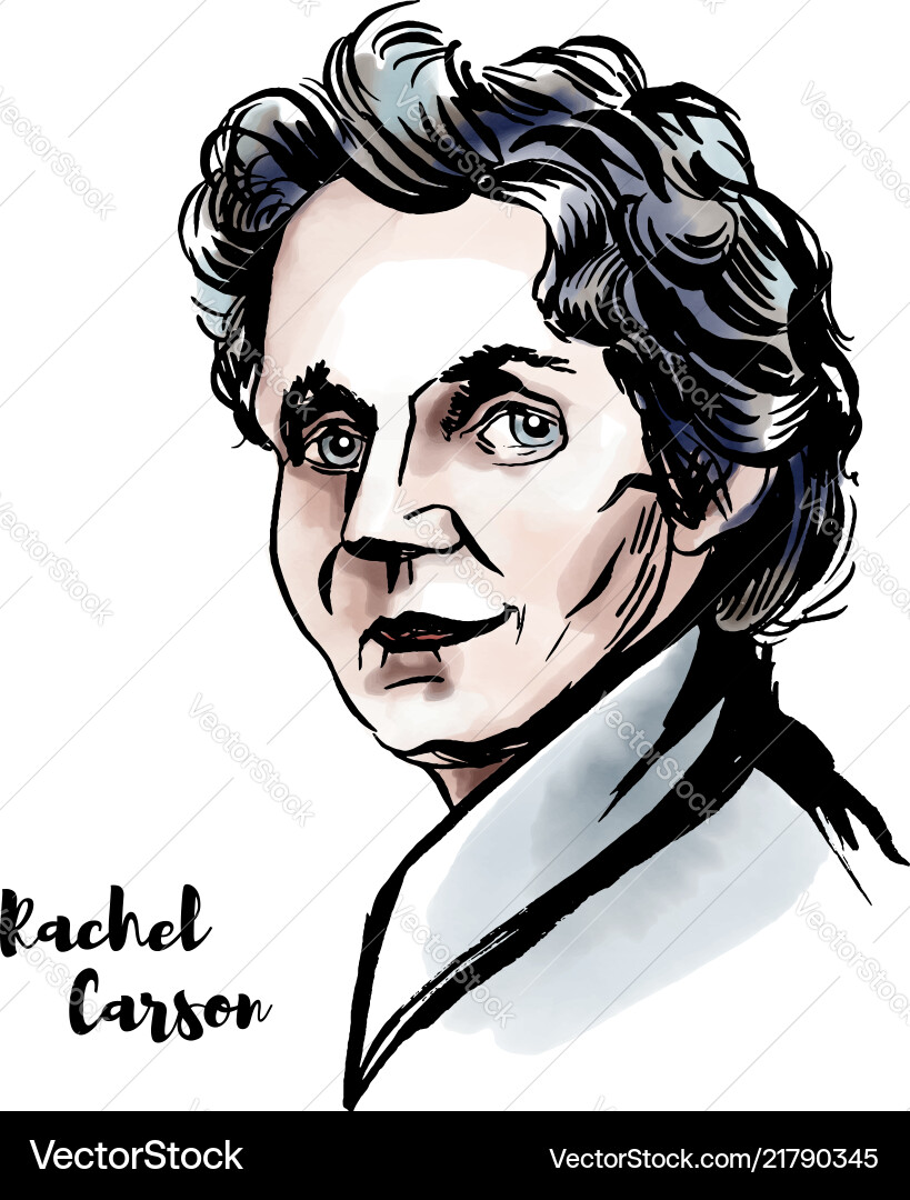 Rachel carson Royalty Free Vector Image - VectorStock