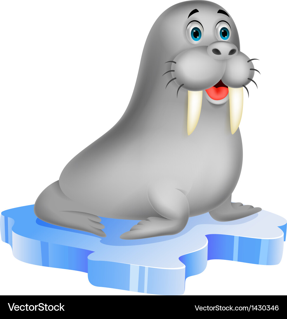 Cute walrus cartoon Royalty Free Vector Image - VectorStock