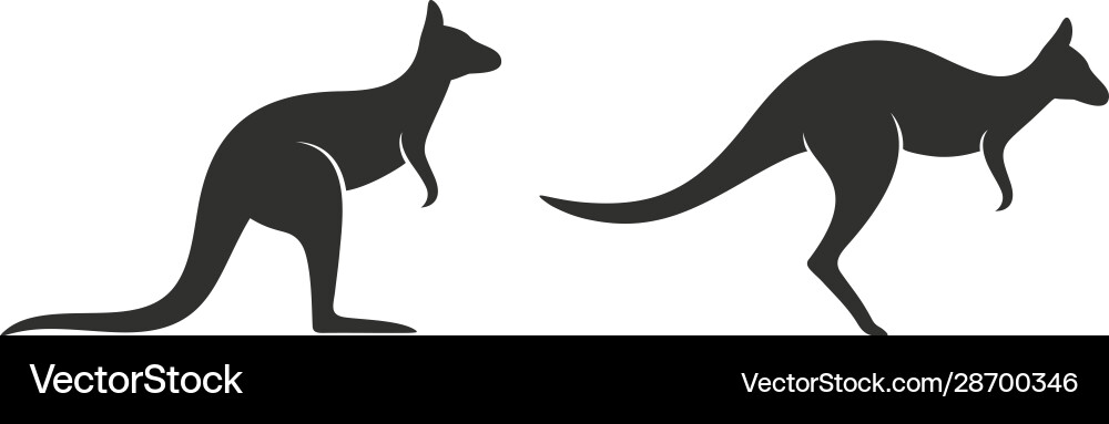 Kangaroo Royalty Free Vector Image - VectorStock