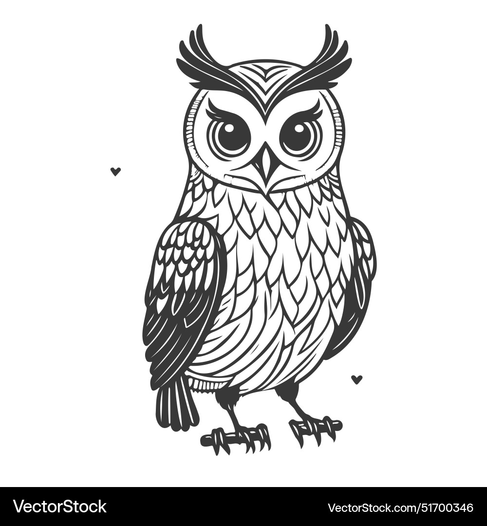 Owl animal grey Royalty Free Vector Image - VectorStock