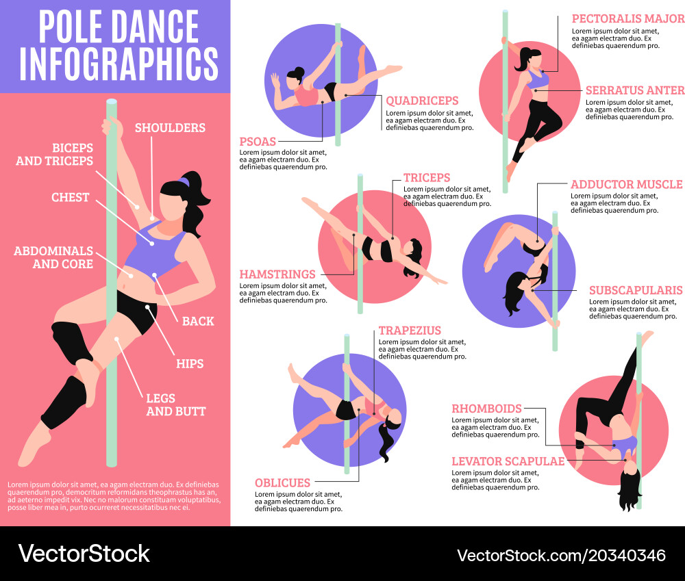 Pole dance infographics Royalty Free Vector Image