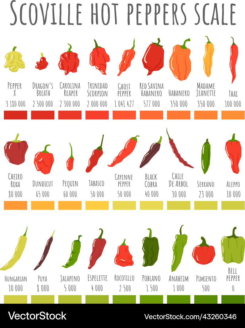 Scoville Heat Units - Pepper Scale Chart Vector Image