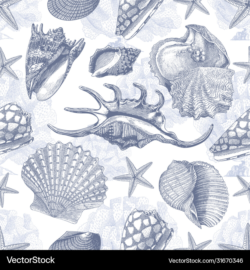 Sea shell pattern texture Royalty Free Vector Image